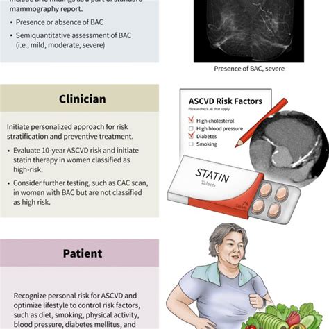 How To Utilize Breast Arterial Calcification Bac For Atherosclerotic