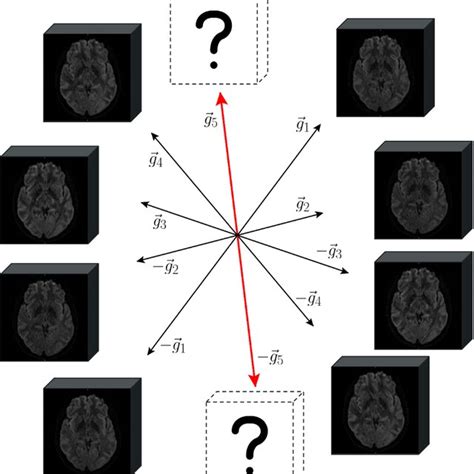 the q space sampling of the dmri data used in our experiments left