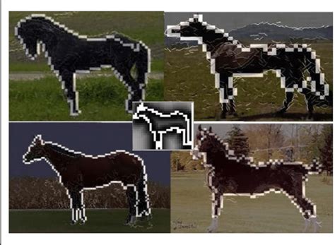 Results Using A Single Exemplar For Recogntion And Contour Completion Download Scientific Diagram