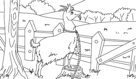 Coloriage Chevre Monsieur Seguin La Chvre De Monsieur Seguin Alphonse Daudet Des Documents