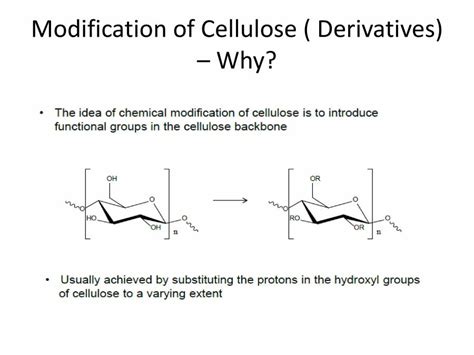 Cellulose And Cellulose Nitrate Powerpoint Slides Learnpick India