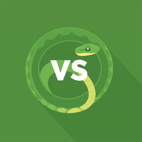 Green Anaconda Vs Reticulated Python