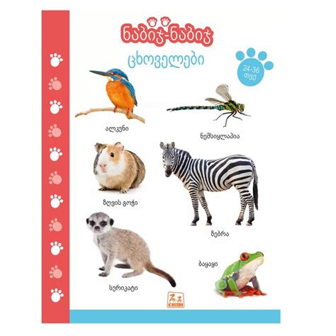 ნაბიჯ ნაბიჯ ცხოველები 24 36 თვე Extra Ge 276983