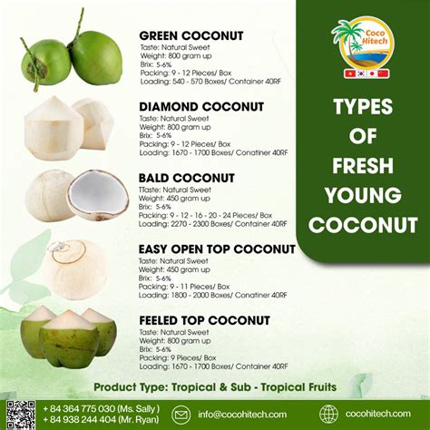Professional Fresh Coconut Processing Service In Vietnam Cocohitech