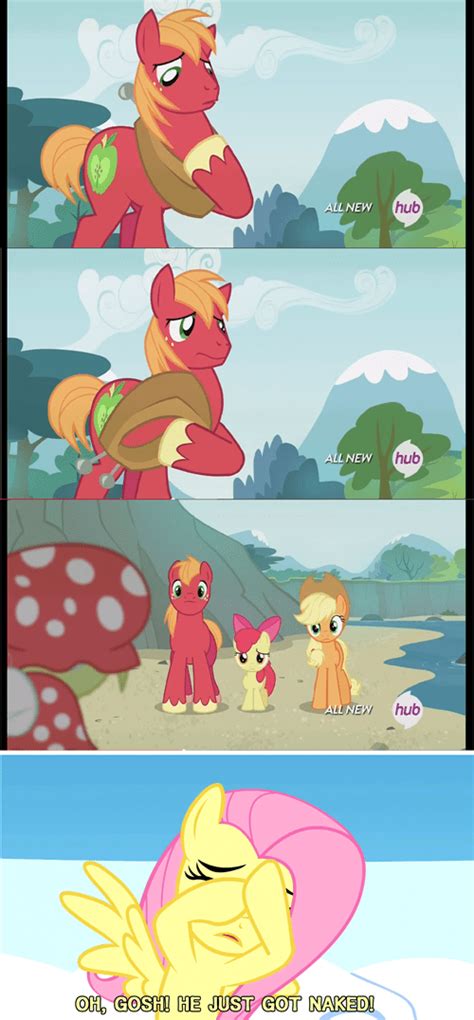 Mlp Fluttershy And Big Mac