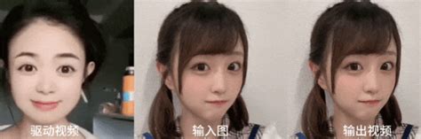 数字人解决方案——liveportrait实现表情姿态极速迁移 Csdn博客
