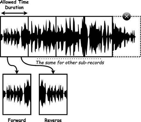 example on the segmentation process on a single record for a specific