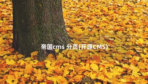 网络教程