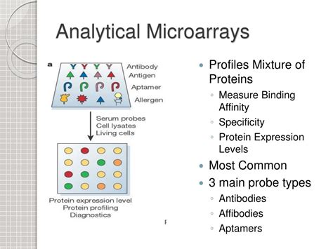 PPT Protein Arrays PowerPoint Presentation Free Download ID 818652