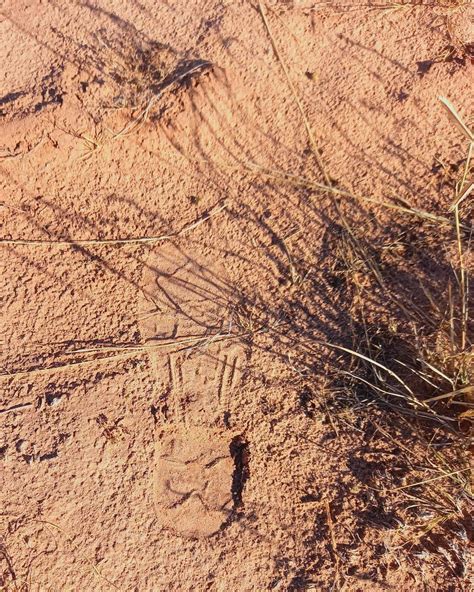 The Plotz Plot In Holbrook Atlas Obscura