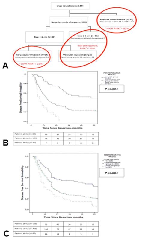 Recurrence Patterns And Disease Free Survival After Resection Of