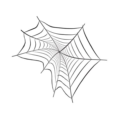 Corner Spider Web Png
