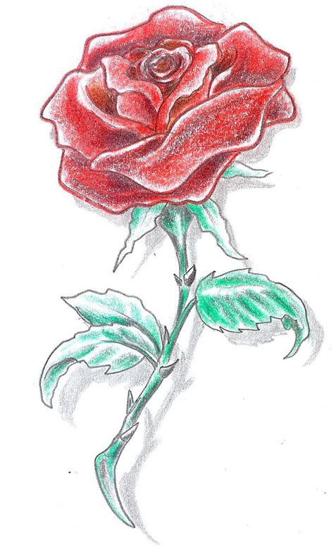 Tattoo Design Rose Color By 2face Tattoo On Deviantart