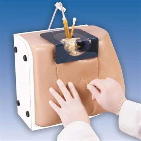 Life Form Spinal Injection Simulator At ₹ 277980 Piece Medical Manikin In Valsad Id