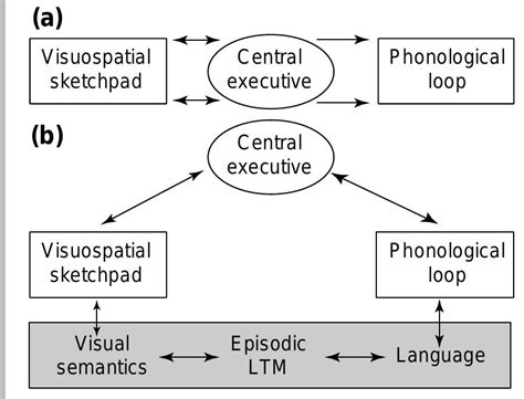 Pdf The Episodic Buffer A New Component Of Working Memory