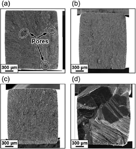 Typical Sem Fractographs Of The Specimens Fractured At High Cycle