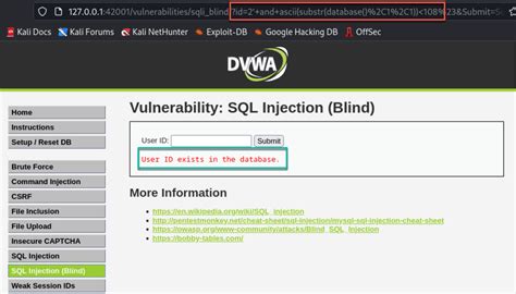 Blind SQL Injection An Expert S Guide To Detect And Exploit
