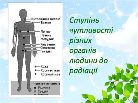 Презентація на тему Вплив радіації на навколишнє середовище — презентації з фізики Gdz4you