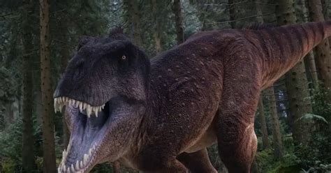 Jurassic Triangle Uk 2024 Worldfilmgeek