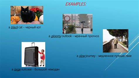 Grammar Lessonattributive And Predicative Adjectives Pptx