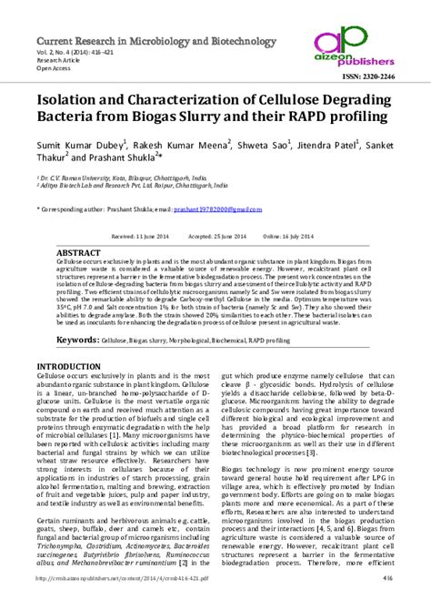 Pdf Isolation And Characterization Of Cellulose Degrading Bacteria From The Deep Subsurface Of