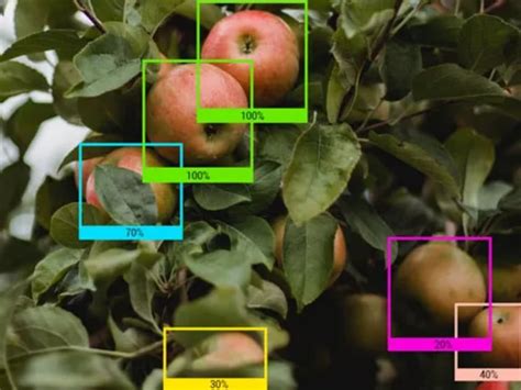 A Data Annotation Image Annotation Data Labeling Tagging Upwork