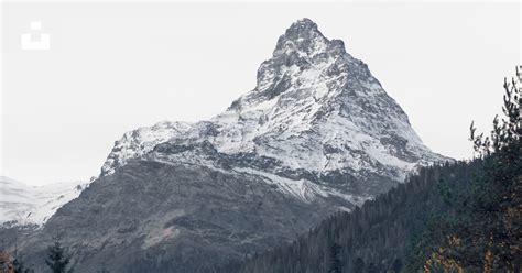 낮에는 나무와 산 근처 도로에 서 있는 검은 재킷을 입은 사람 사진 Unsplash의 무료 회색 이미지