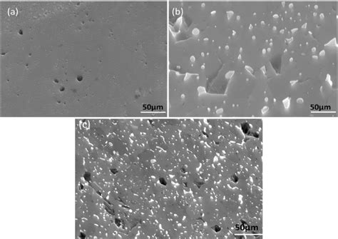 Secondary Electron Mode Of The Scanning Electron Microscope Of Sintered