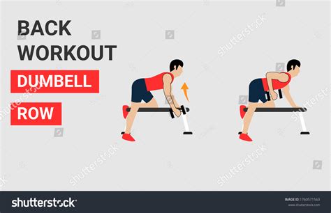 Dumbell Rows Over 80 Royalty Free Licensable Stock Illustrations