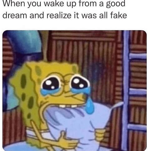 Why Do We Exist Rmemesofthedank