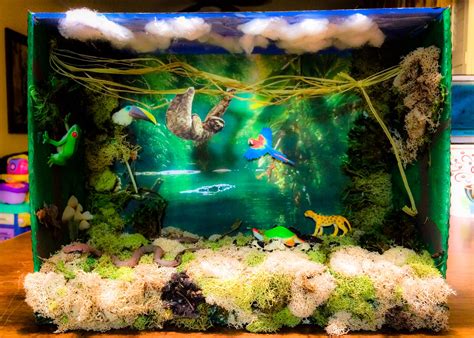 How To Make A Habitat Diorama At Zachary Williams Blog