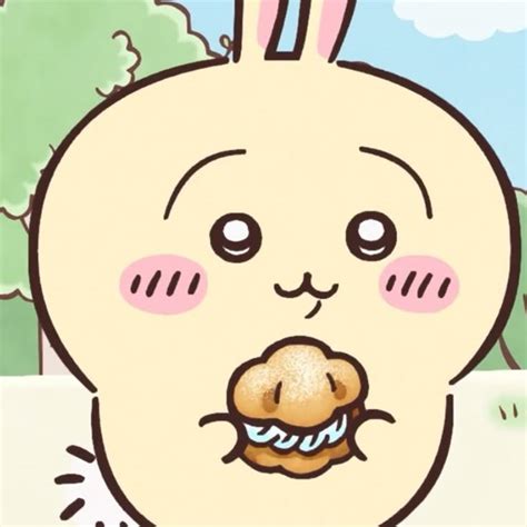 Usagi And Hachiware In 2025 Duos Icons Usagi Cute Drawings