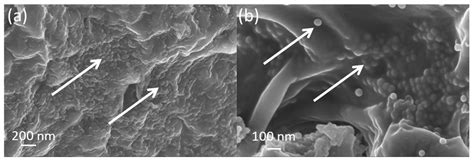 Gels Free Full Text Nanocomposite Hydrogels With Polymer Grafted Silica Nanoparticles Using