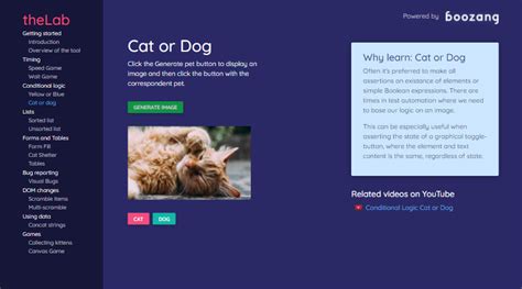 Boozang Codeless Testing That Works