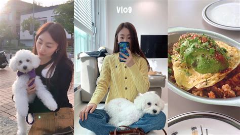 Vlog폴로 니트의 계절💛 누룽지로 속달래고 아보카도 김치볶음밥 And 브리치즈 파스타 만들기 Youtube