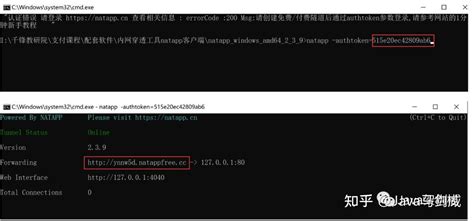 Java对接支付宝支付不会搞看这里详细图解案例 知乎