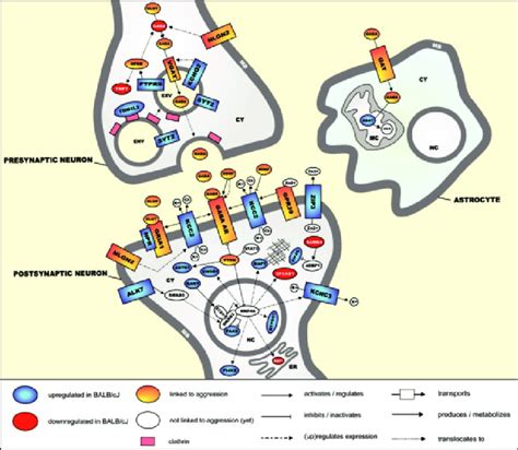 Molecular Landscape Based On Publically Available Microarray Mrna Download Scientific Diagram