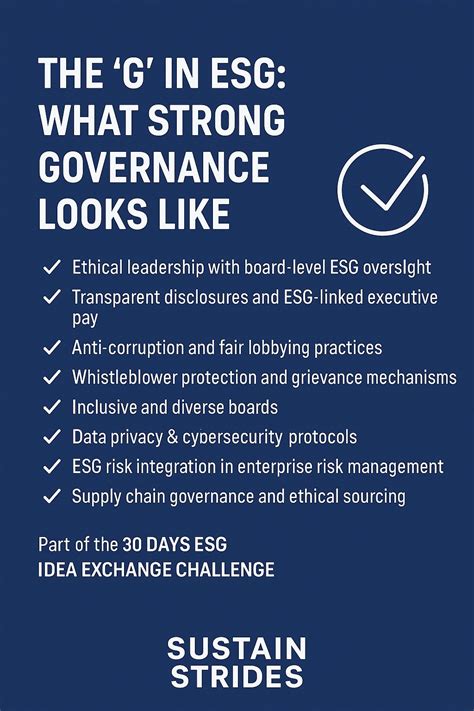 Understanding The G In Esg Governance For Esg Success Sreelakshmi