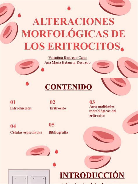 Anormalidades Morfológicas Del Eritrocit O Pdf Glóbulo Rojo Sangre
