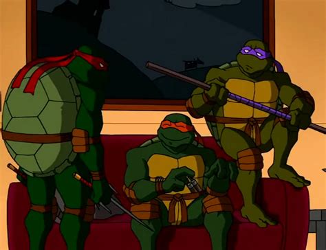 Tmnt 2003 Donnie Mikey And Raph 2 By Hedwieapotter On Deviantart