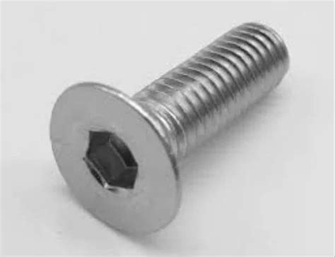 Allen Csk Screw Length 10 Mm At ₹ 22piece In Vadodara Id