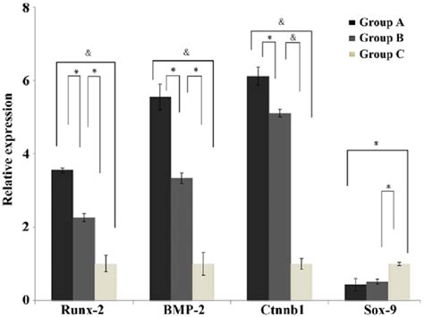 mrna expression levels of runx 2 bmp 2 ctnnb1 and sox 9 in groups a