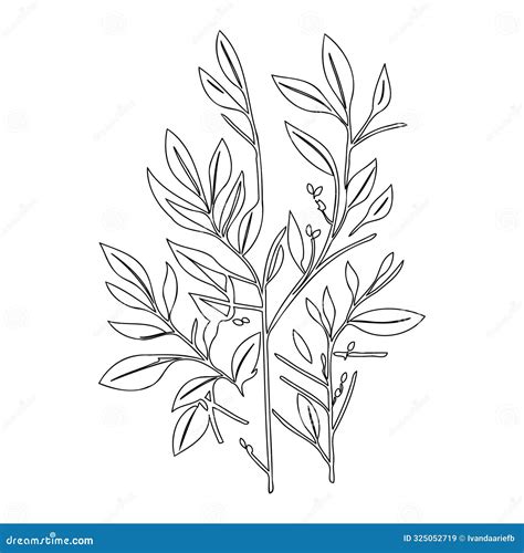 Parallel Leaf Floral Outline Illustration Sketch Stock Vector