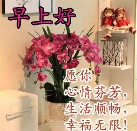 朋友群冬季全新版早上好祝福语，微信早上好问候语图片大全 搜狐大视野 搜狐新闻