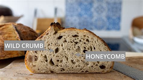 Sourdough Troubleshooting Dense Flat And Gummy Bread Fixes