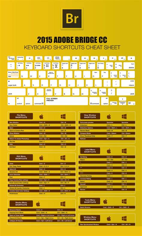 Batch Rename Adobe Bridge Cs6 Adaceto