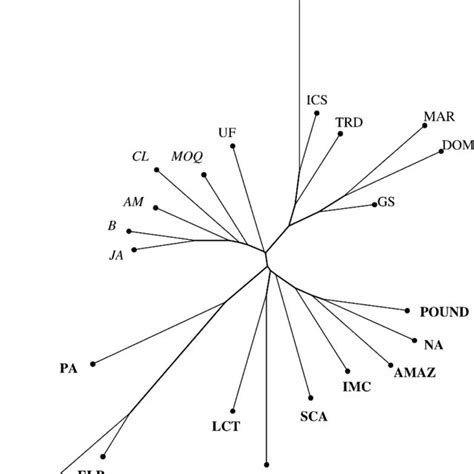 Dendrogram Obtained From A Neighbour Joining Analysis Performed On Rapd Download Scientific