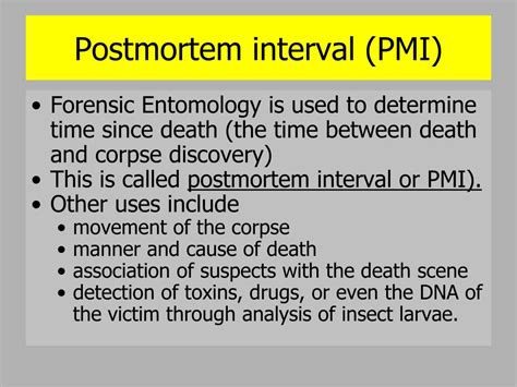Ppt Forensic Entomology Powerpoint Presentation Free Download Id