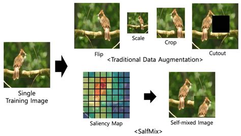 Enhance Deep Learning With Data Augmentation Techniques