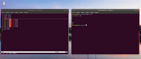 shell作业 csdn博客